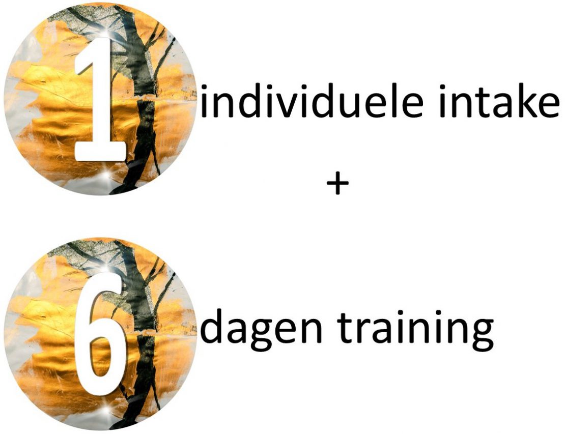 Training Belichaamd Leiderschap - Mudita Academie